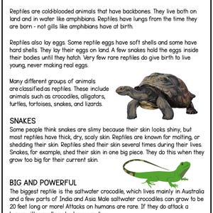 Printable Reptile Escape Room Game, Kids Birthday Party Activity ...
