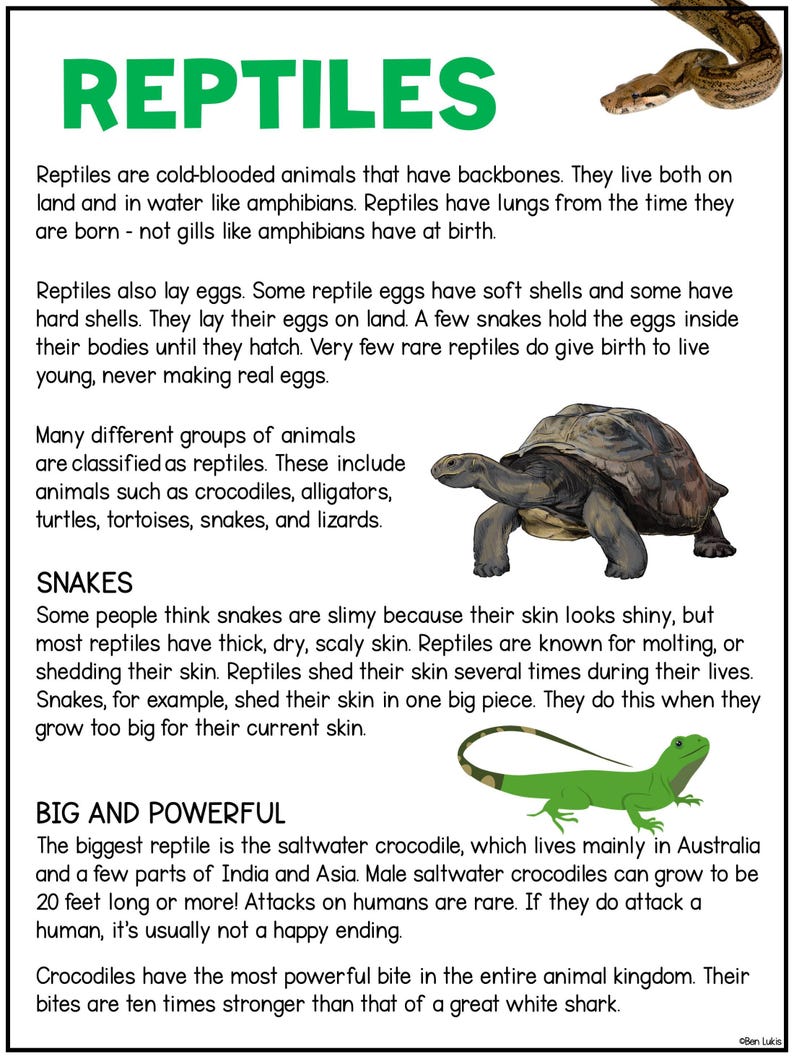 Printable Reptile Escape Room Game, Kids Birthday Party Activity ...