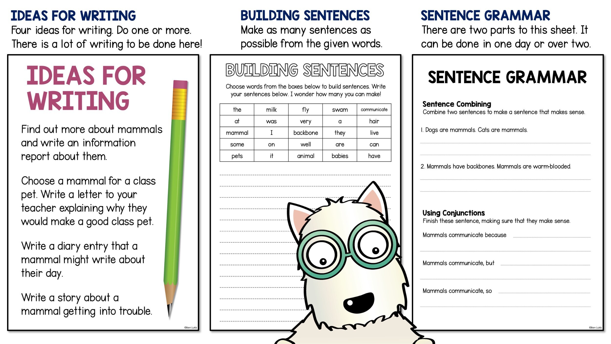 Mammals Literacy Activities, Reading and Writing About Mammals, 2nd ...