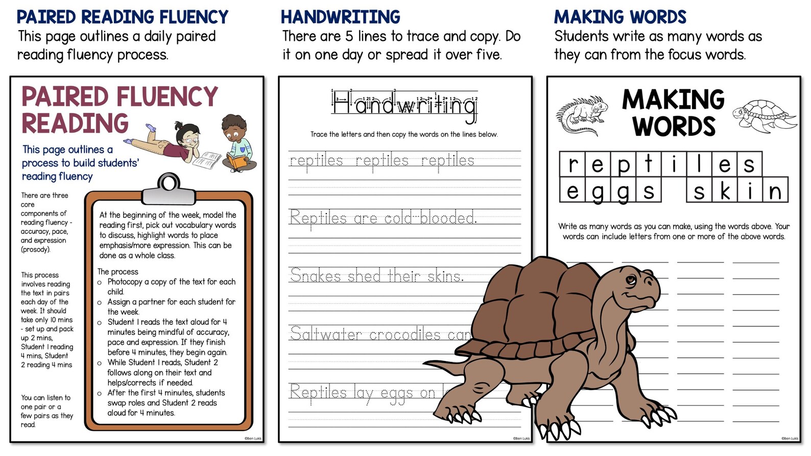 Reptile Literacy Activities for a Week About a Reptiles Information ...