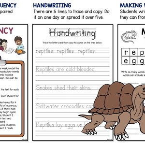 Reptile Literacy Activities for a Week About a Reptiles Information ...