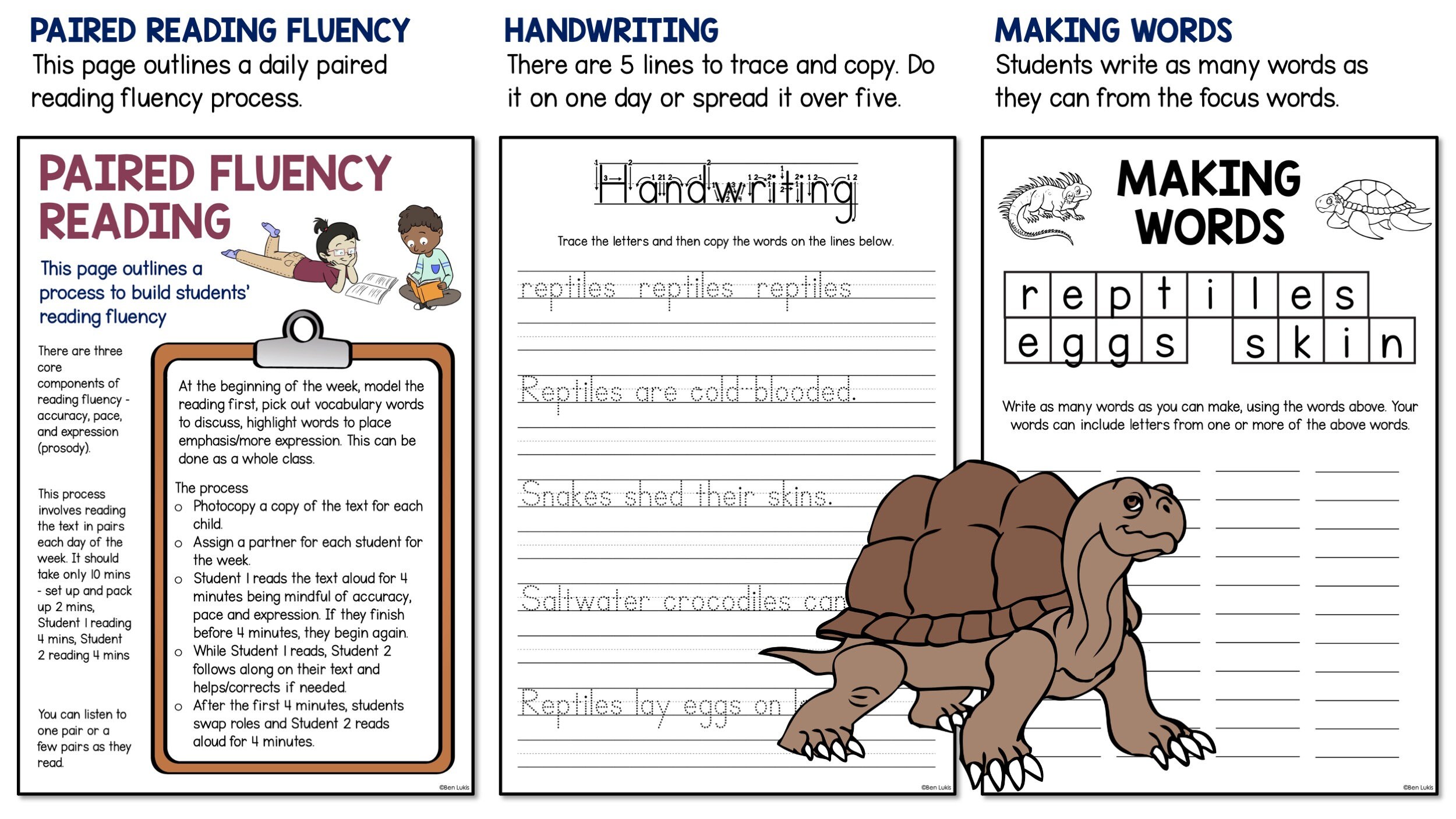 Reptile Literacy Activities for a Week About a Reptiles Information ...