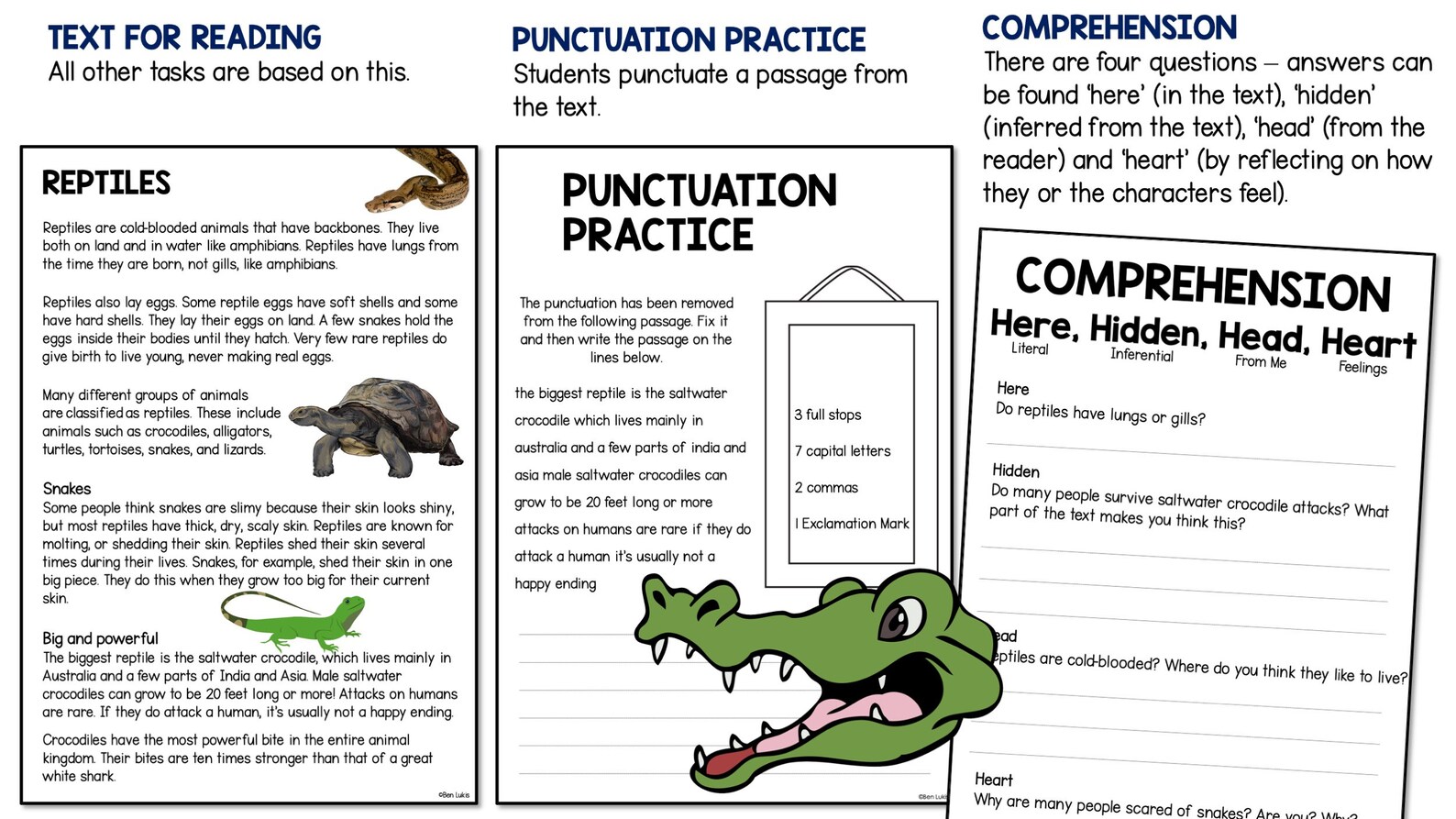 Reptile Literacy Activities for a Week About a Reptiles Information ...