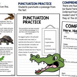 Reptile Literacy Activities for a Week About a Reptiles Information ...