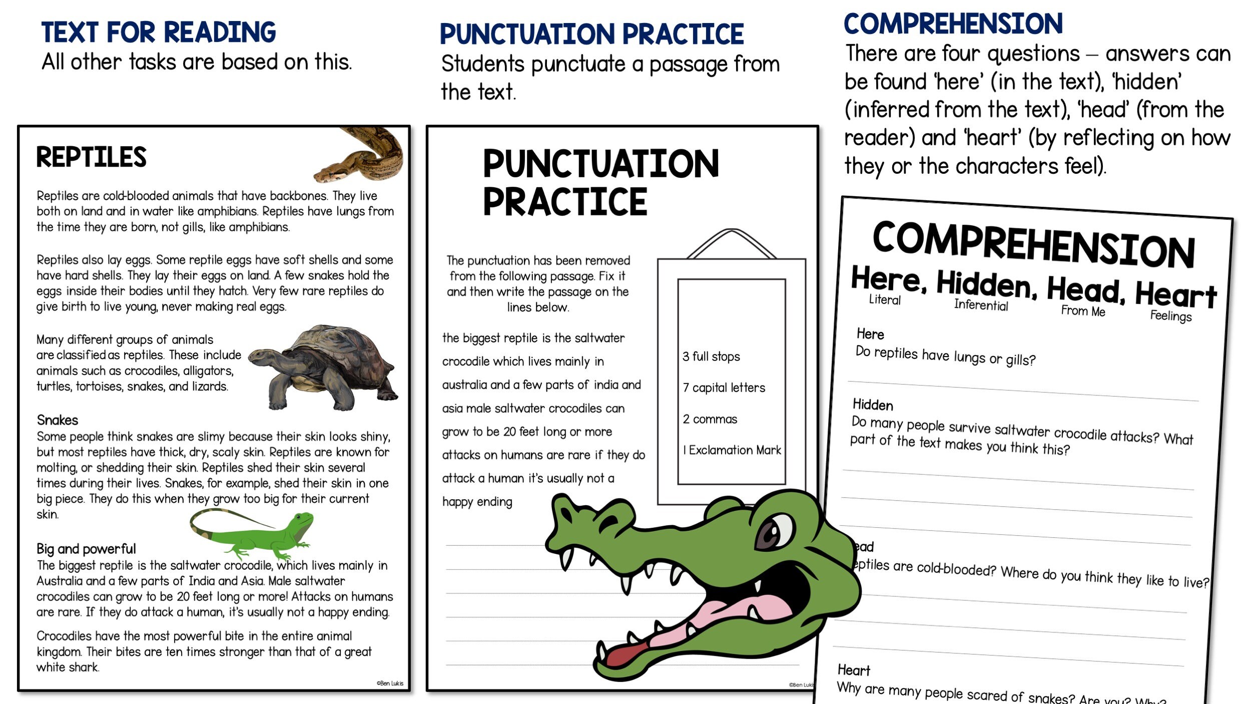 Reptile Literacy Activities for a Week About a Reptiles Information ...