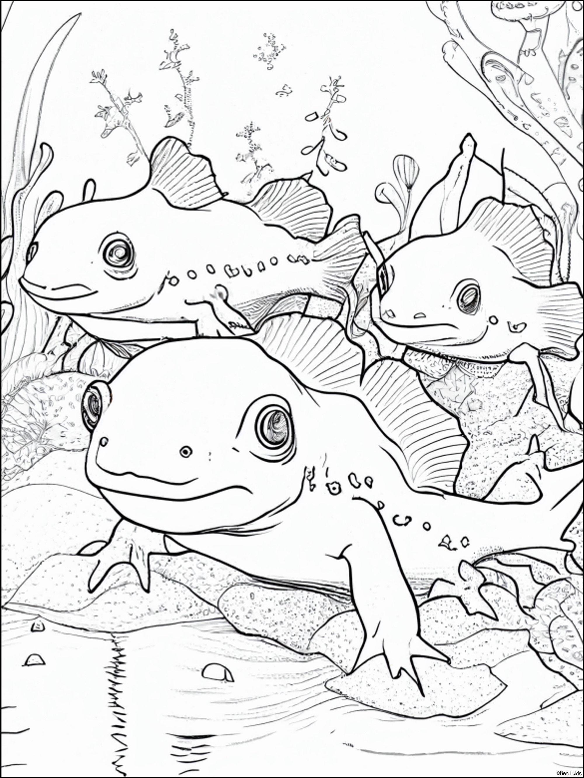 Axolotl Coloring Book Digital Download, Kids Printable Coloring Pages ...