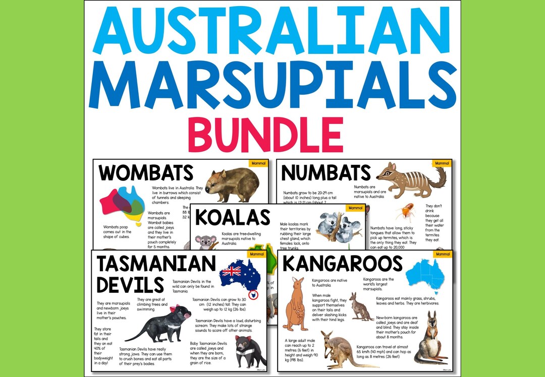 Australian Marsupial Information Text Reading Passages Animal Facts ...