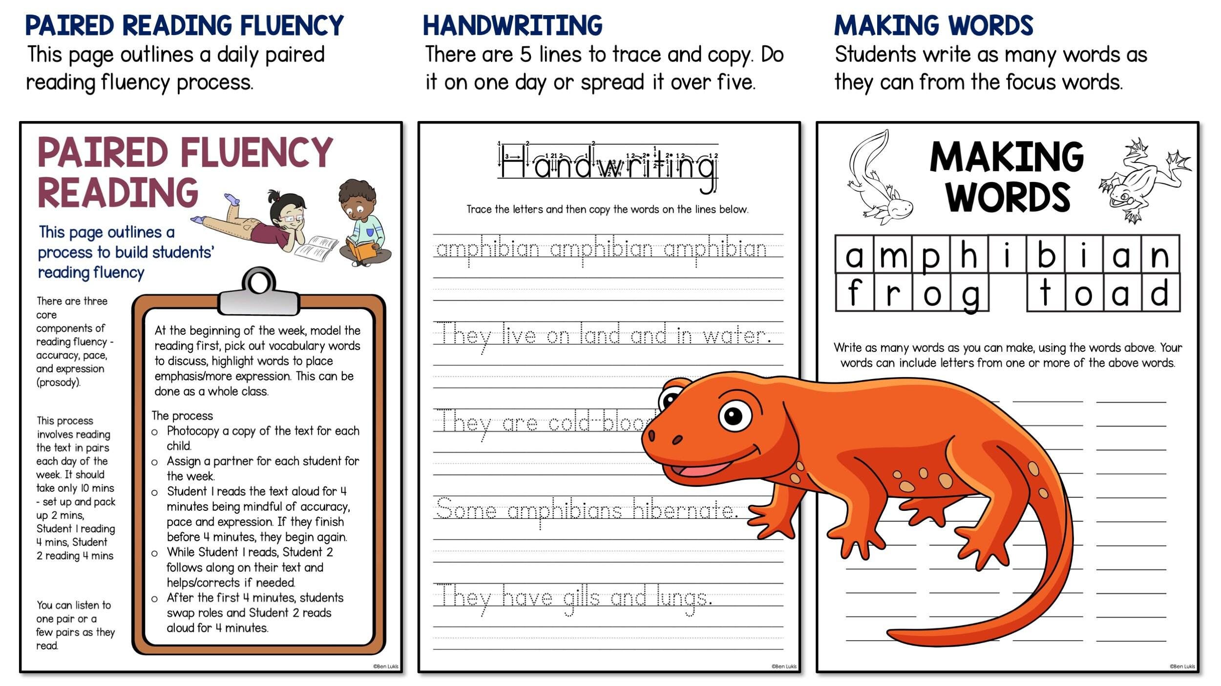 Amphibian Literacy Activities, Reading & Writing, 2nd-3rd Grade ...