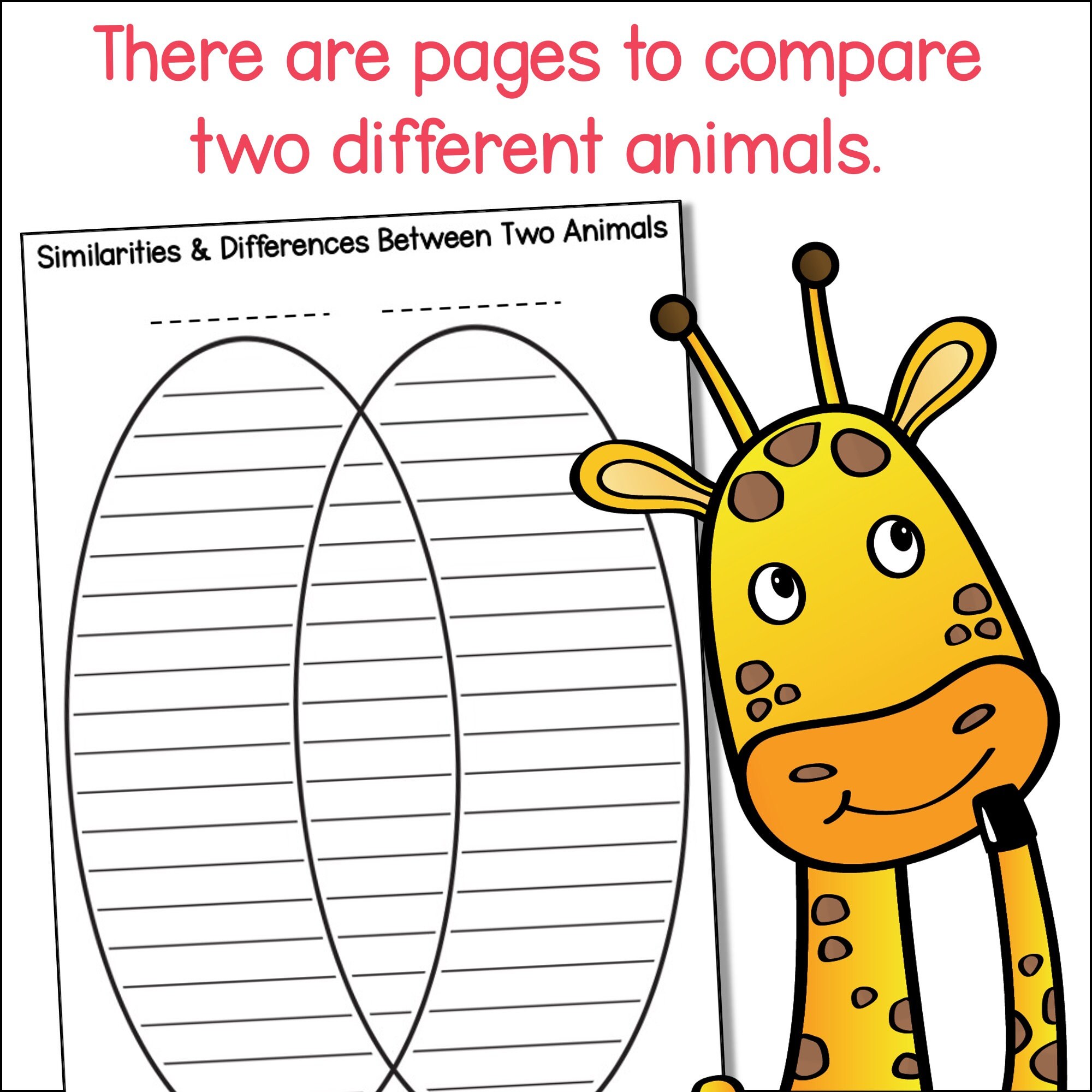 Animal Research Report Templates for Any Animal Animal Types, Facts and ...