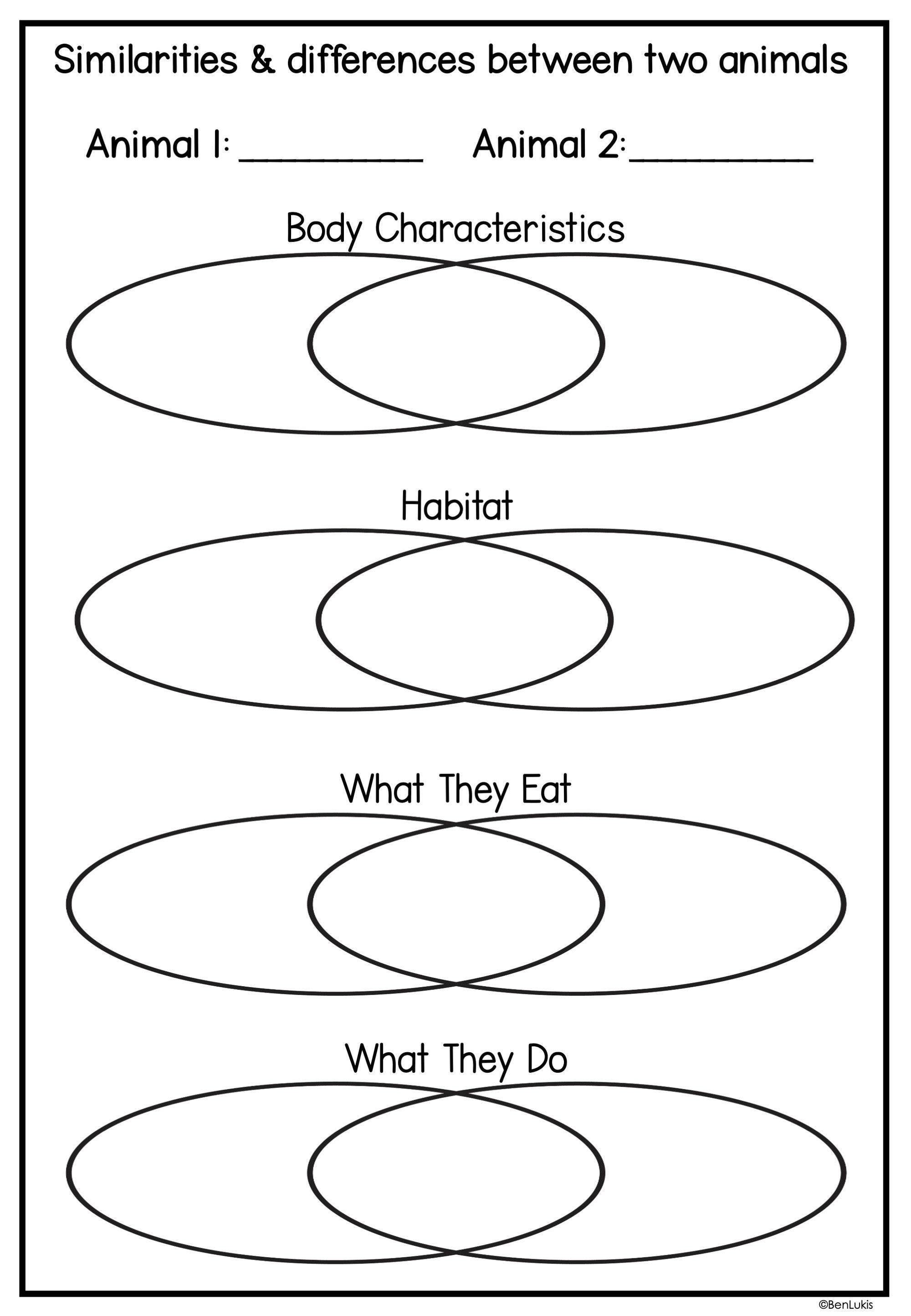Australian Animal Research Report Templates for Kids, Australian Native ...
