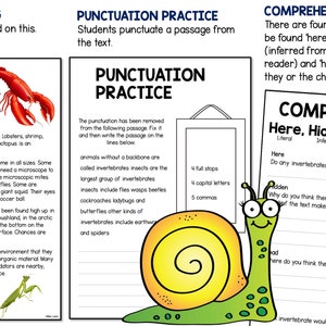 Invertebrates Literacy Activities for A Week, Reading Writing and More ...