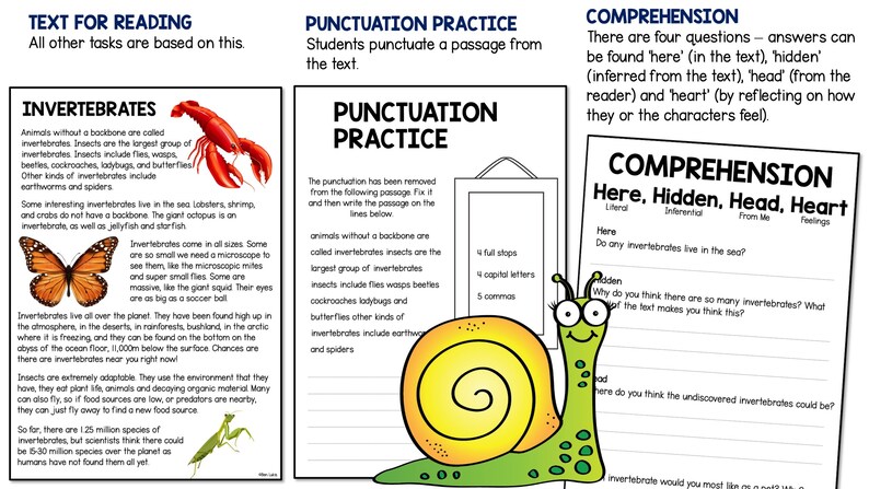 Invertebrates Literacy Activities for A Week Reading Writing - Etsy