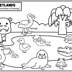Animal Habitats Matching Activity and Odd One Out Worksheets, Animal ...