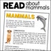 Educational Escape Room Game, Printable Mammals Themed Activity, Kids ...