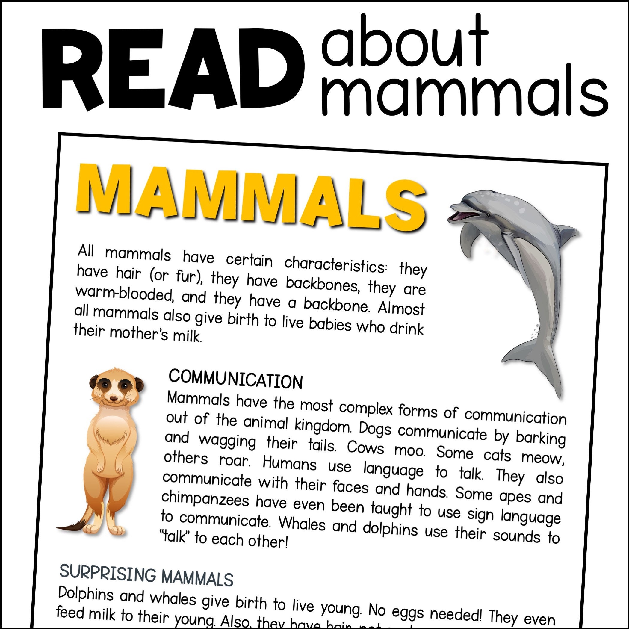 Educational Escape Room Game, Printable Mammals Themed Activity, Kids ...