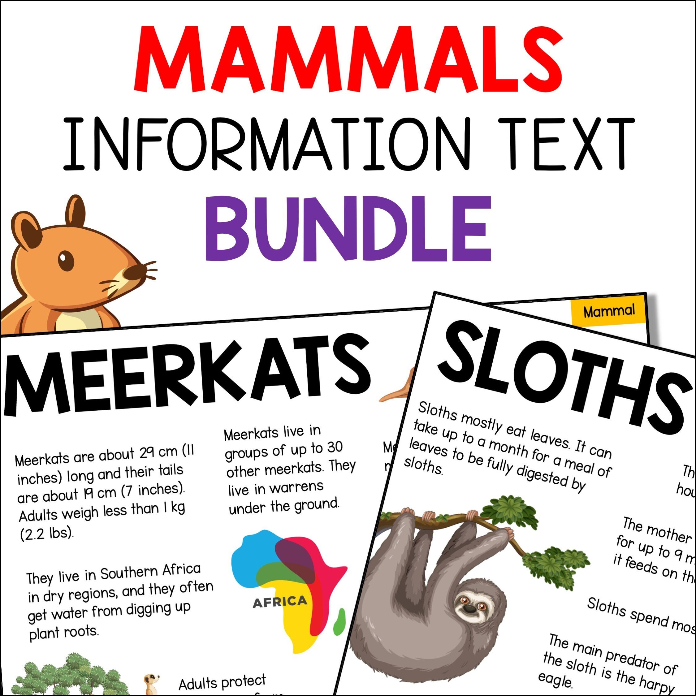 Mammal Information Reading Passages Facts About Mammals - Etsy