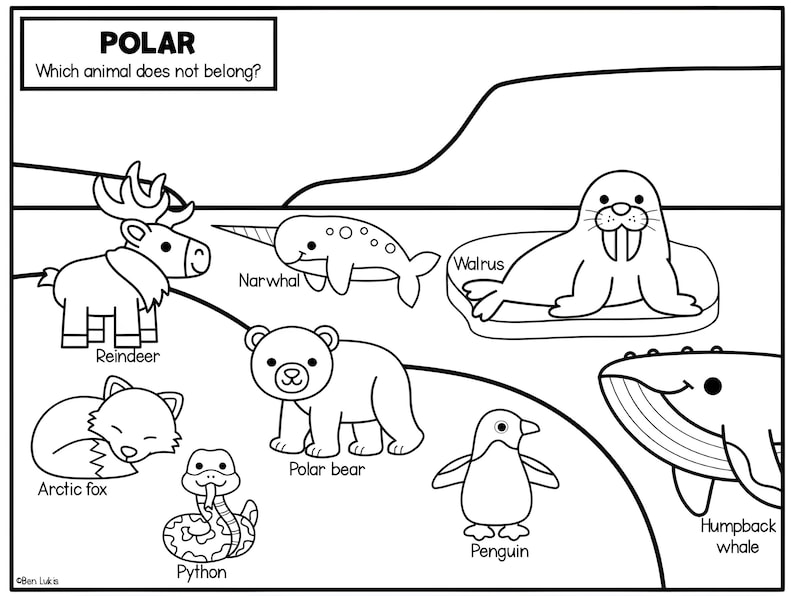 Animal Habitats Matching Activity and Odd One Out Worksheets, Animal ...