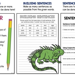 Reptile Literacy Activities for a Week About a Reptiles Information ...