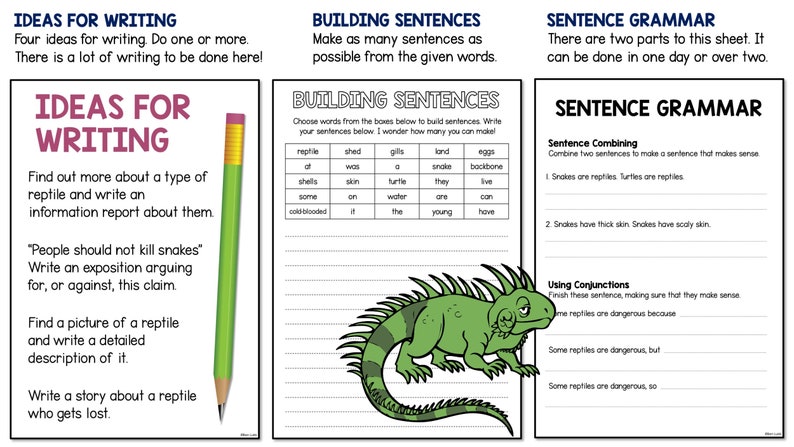 Reptile Literacy Activities for a Week About a Reptiles Information ...