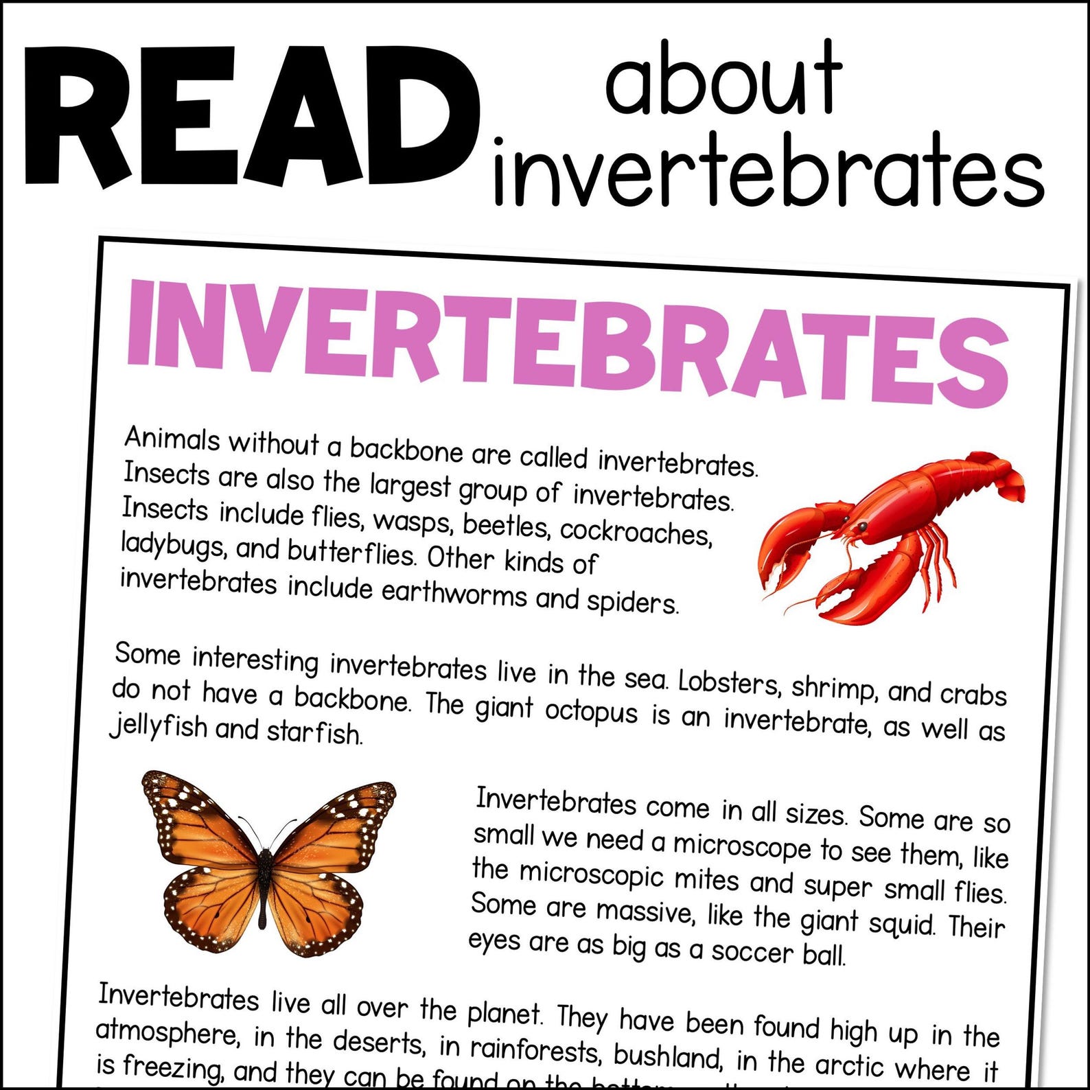 Invertebrates Escape Room for Kids, Educational Game Printable PDF ...