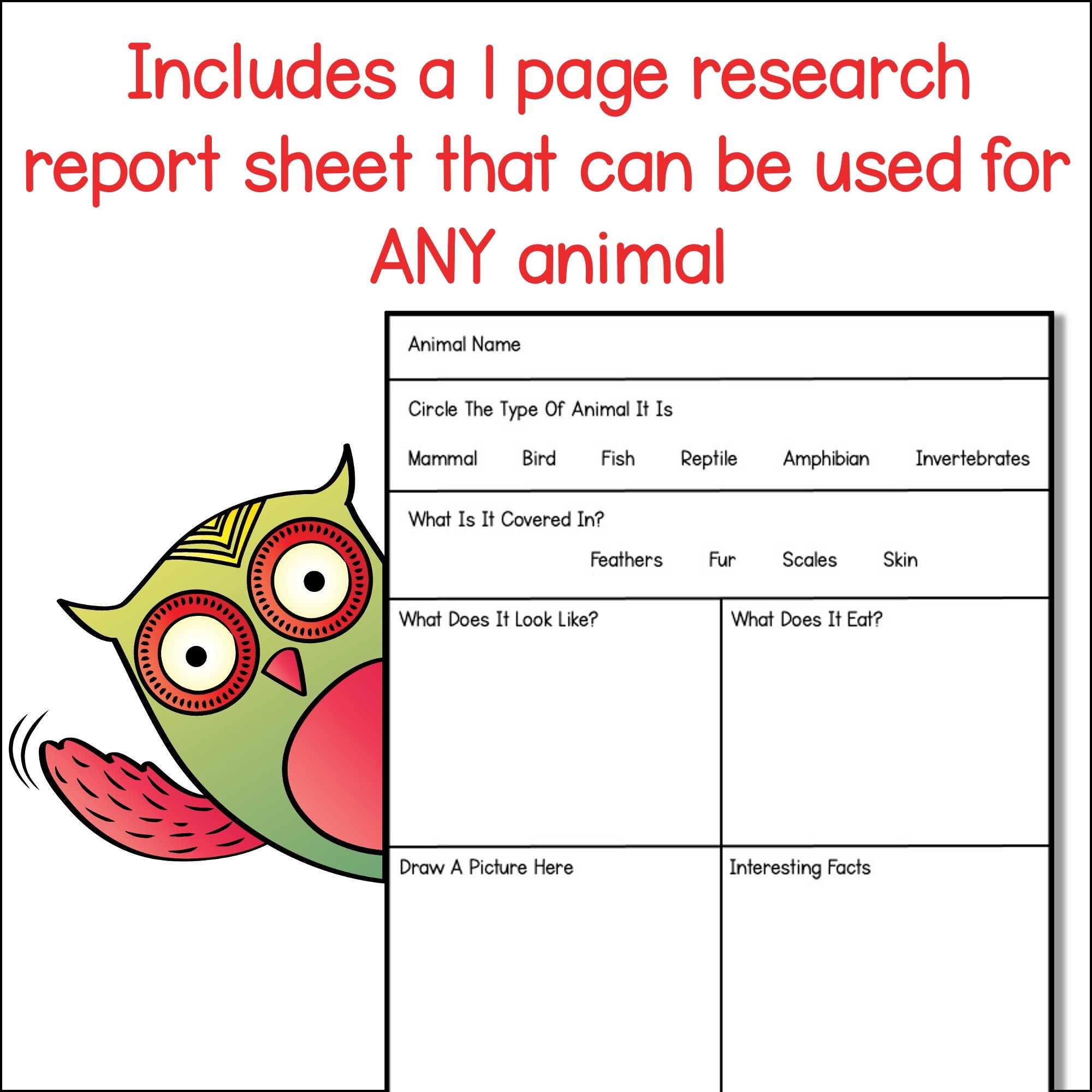 Animal Research Report Templates for Any Animal Animal Types, Facts and ...