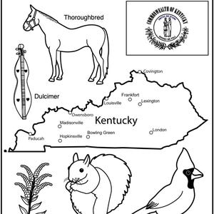 50 USA States Coloring Pages, US State Symbols and Flags, School ...
