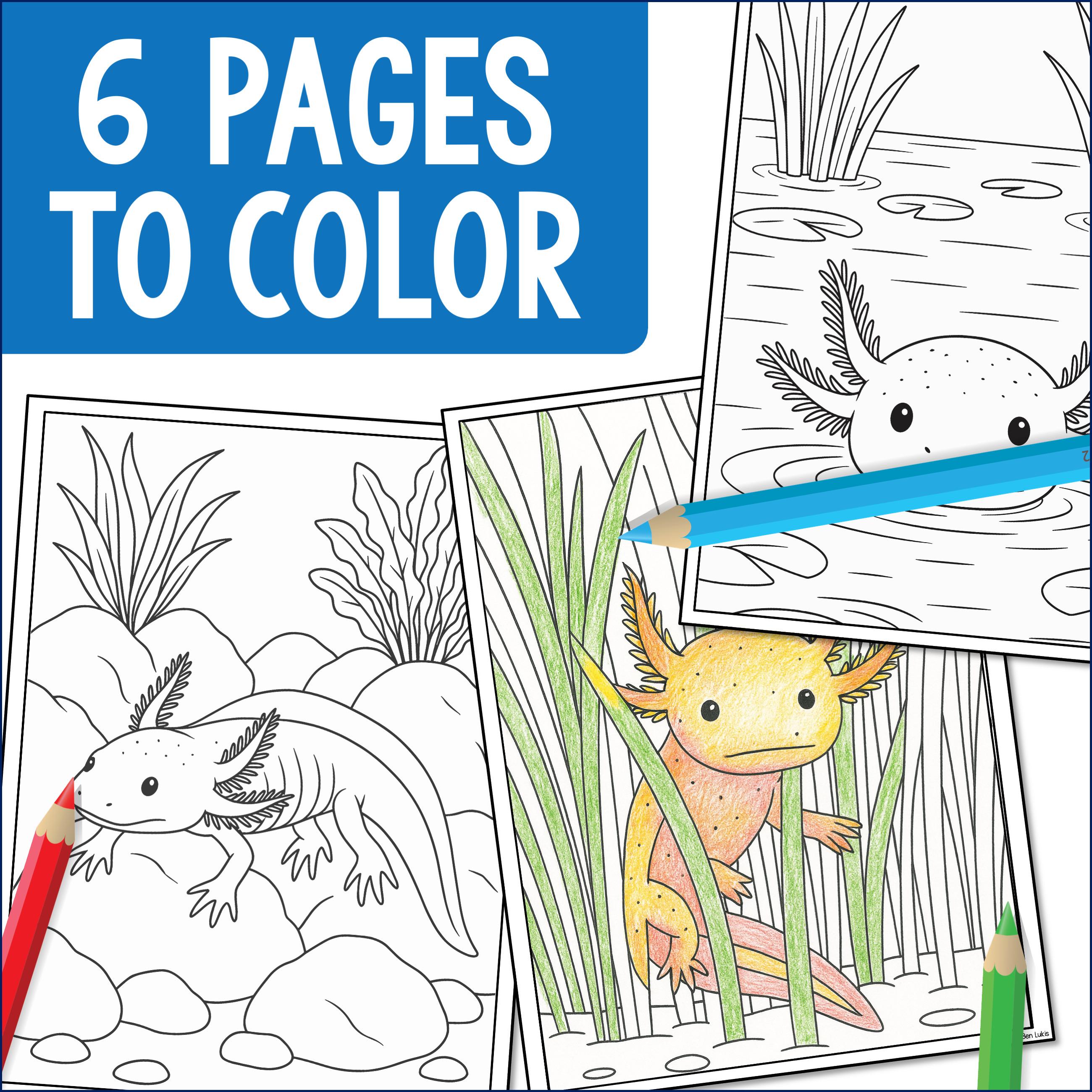 Axolotl Coloring Book Digital Download, Kids Printable Coloring Pages ...