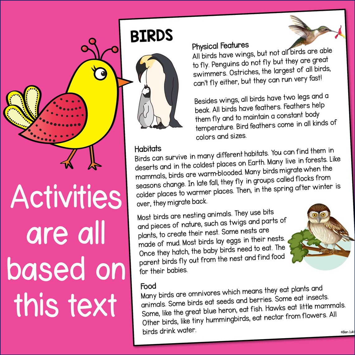Birds Literacy Activities for A Week for 2nd Grade and 3rd Grade ...