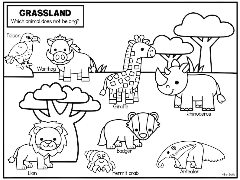 Animal Habitats Matching Activity and Odd One Out Worksheets, Animal ...