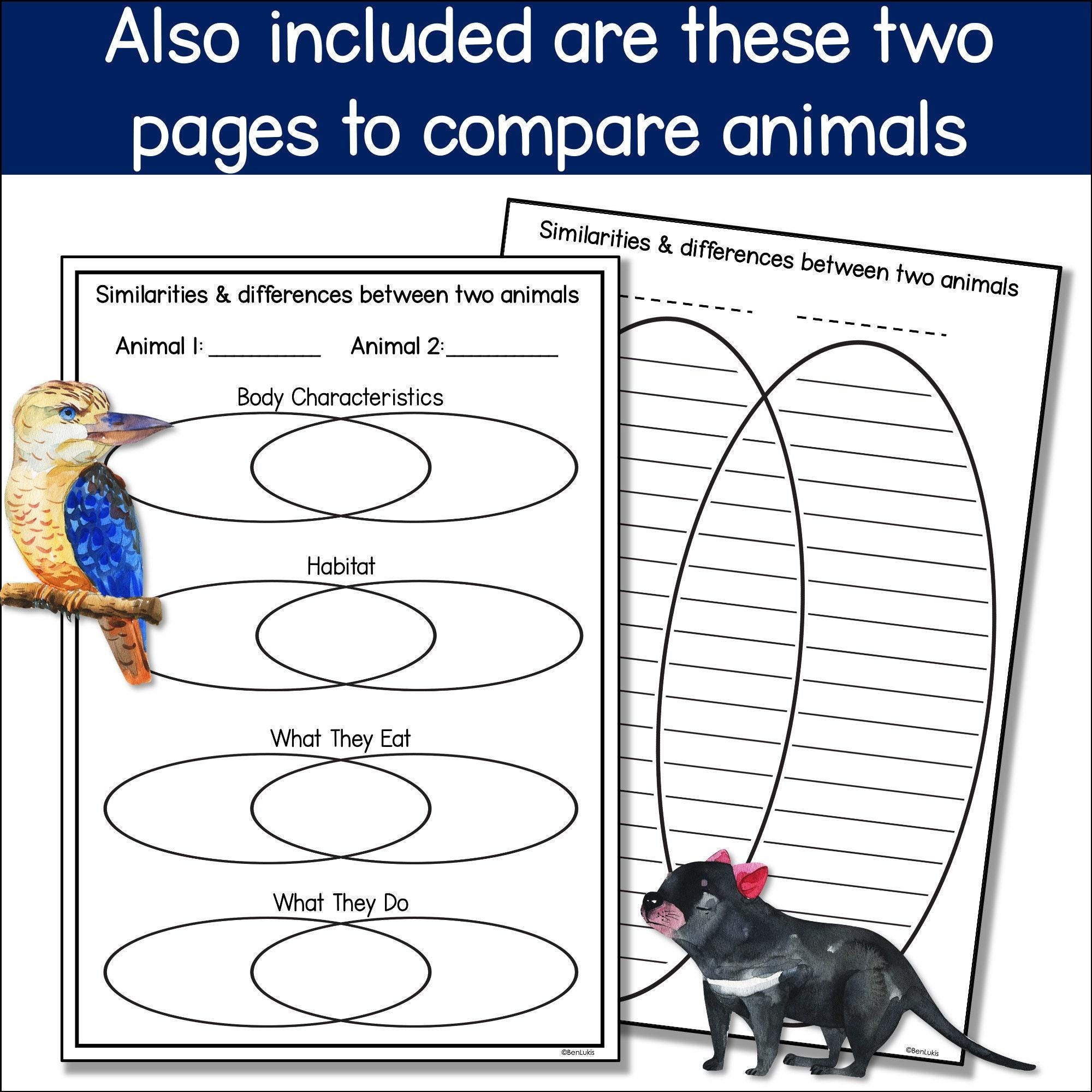 Australian Animal Research Report Templates for Kids, Australian Native ...