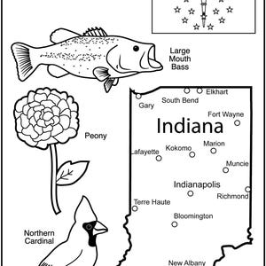 50 USA States Coloring Pages, US State Symbols and Flags, School ...