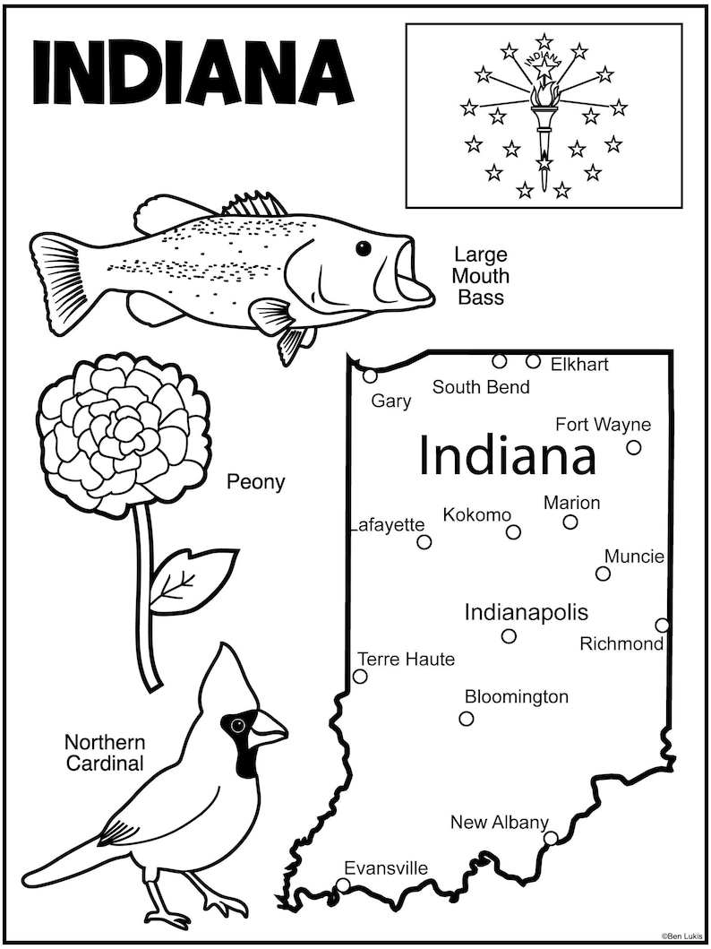50 USA States Coloring Pages, US State Symbols and Flags, School ...