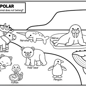 Animal Habitats Matching Activity and Odd One Out Worksheets, Animal ...