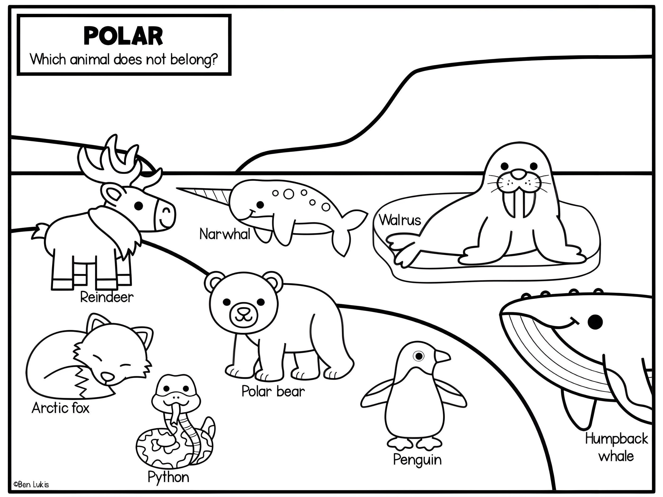 Animal Habitats Matching Activity and Odd One Out Worksheets, Animal ...