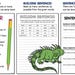 Reptile Literacy Activities for a Week About a Reptiles Information ...
