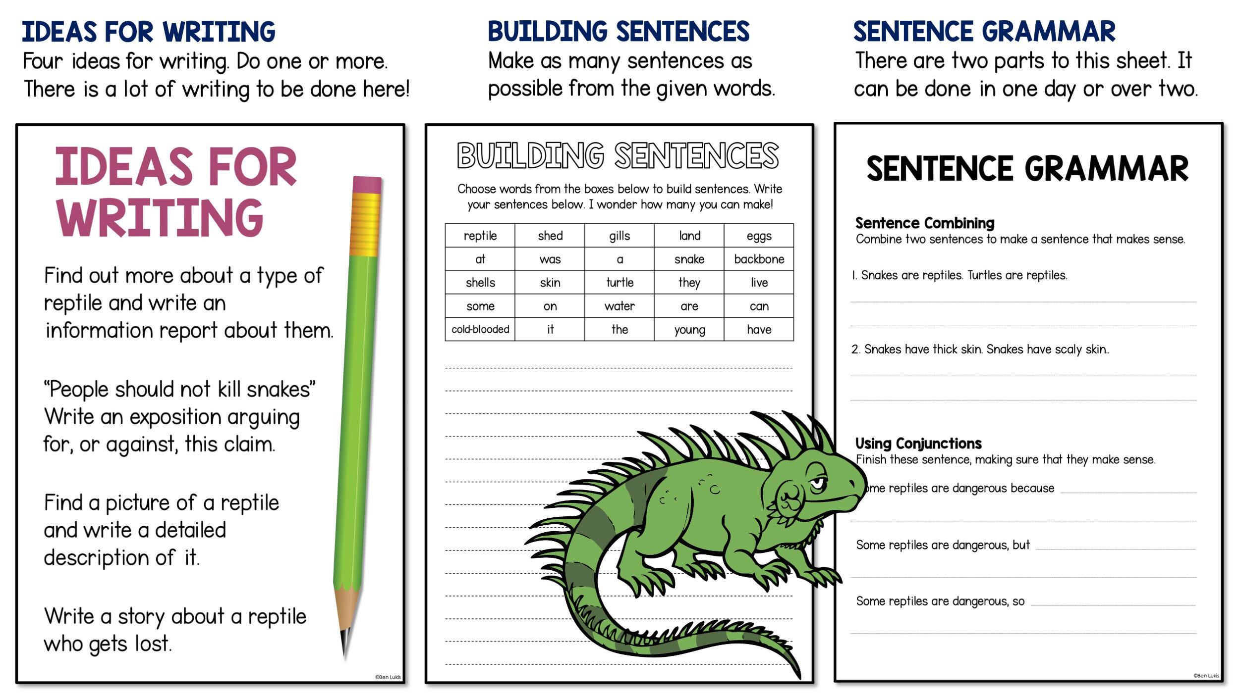 Reptile Literacy Activities for a Week About a Reptiles Information ...