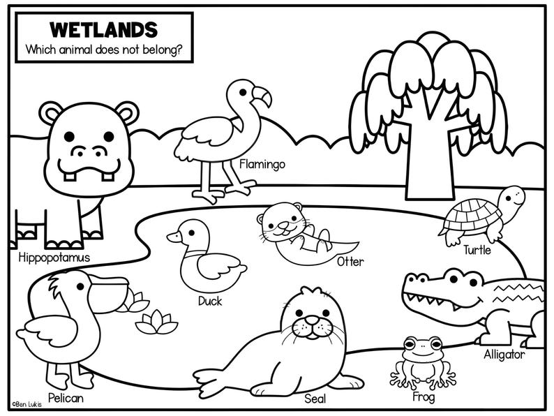 Animal Habitats Matching Activity and Odd One Out Worksheets, Animal ...