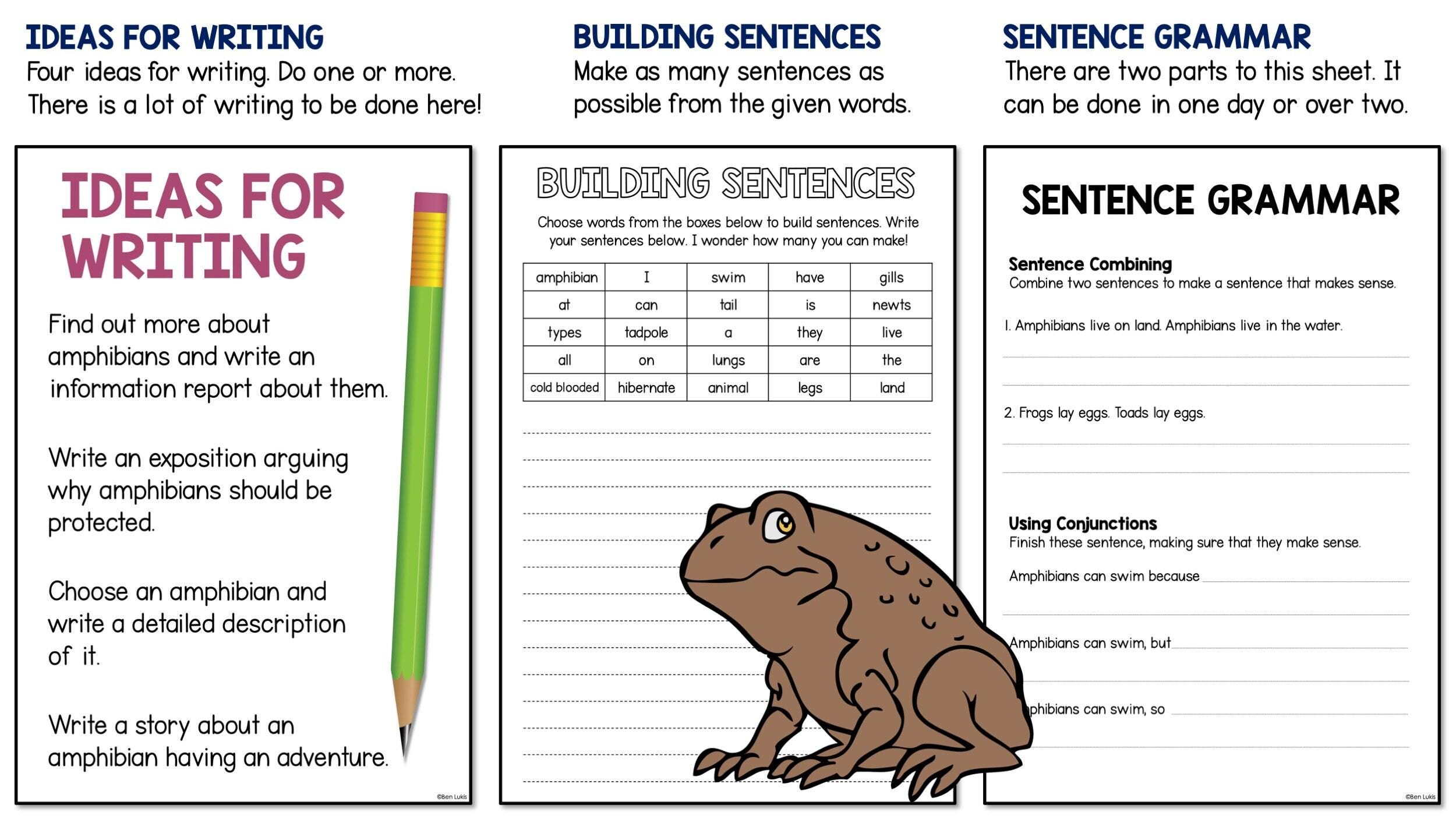 Amphibian Literacy Activities, Reading & Writing, 2nd-3rd Grade ...
