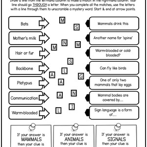 Educational Escape Room Game, Printable Mammals Themed Activity, Kids ...
