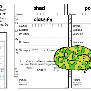 Reptile Literacy Activities for a Week About a Reptiles Information ...