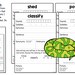 Reptile Literacy Activities for a Week About a Reptiles Information ...