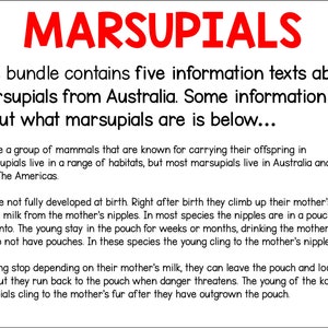 Australian Marsupial Information Text Reading Passages Animal Facts ...