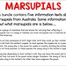 Australian Marsupial Information Text Reading Passages Animal Facts ...