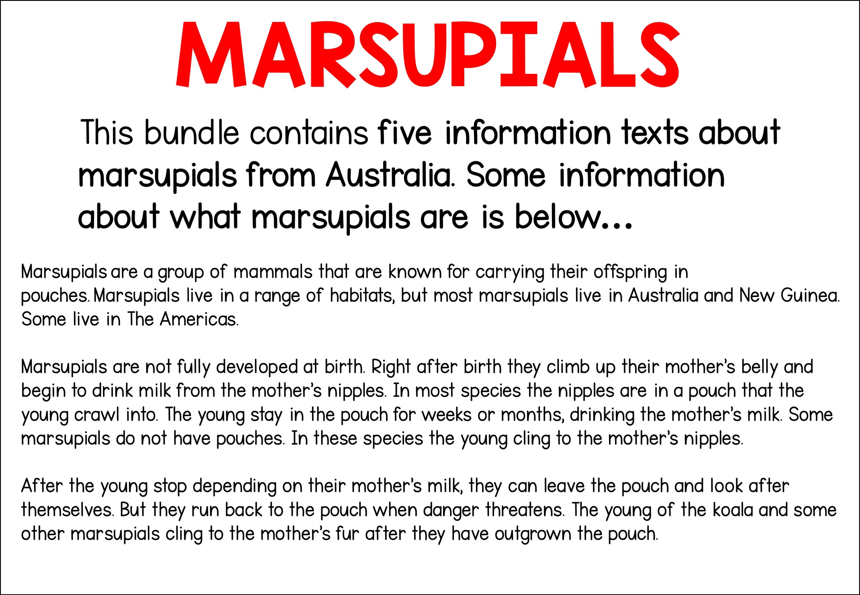 Australian Marsupial Information Text Reading Passages Animal Facts ...