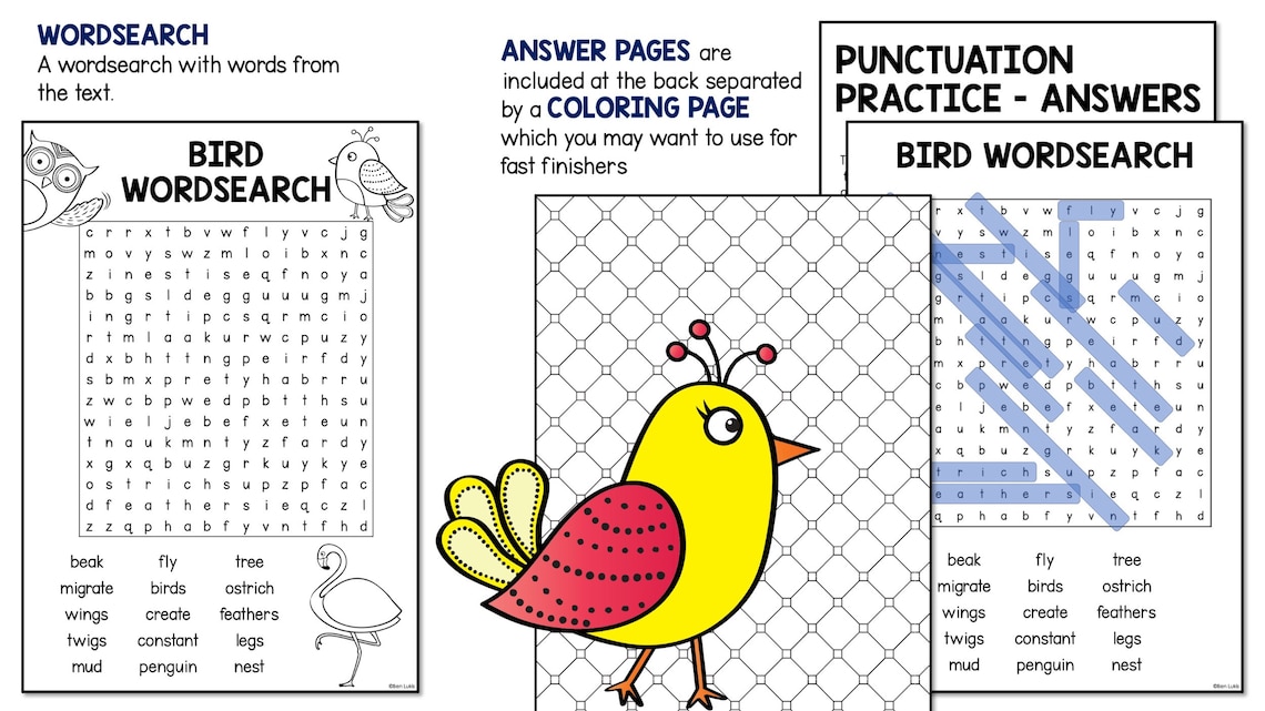 Birds Literacy Activities for A Week for 2nd Grade and 3rd Grade ...