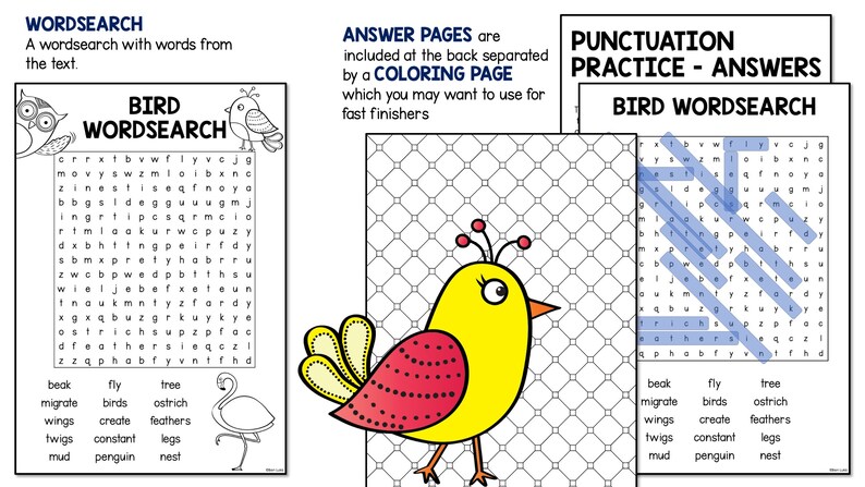 Birds Literacy Activities for A Week for 2nd Grade and 3rd Grade ...