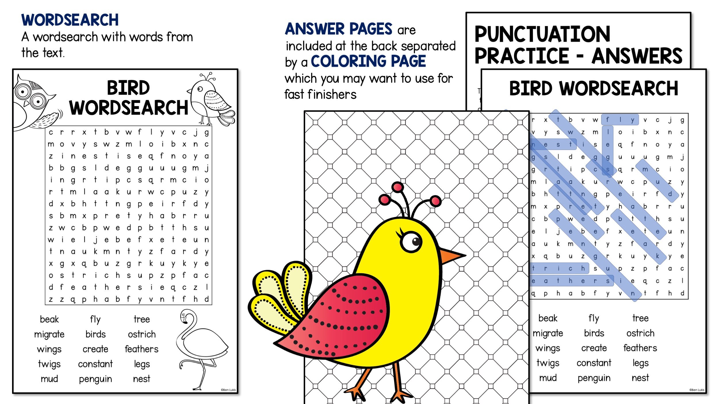 Birds Literacy Activities for A Week for 2nd Grade and 3rd Grade ...