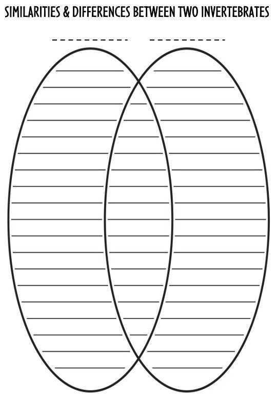 Toys Toys & Games Learning & School Classifying Animals Research ...