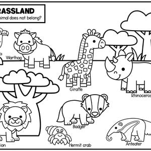 Animal Habitats Matching Activity and Odd One Out Worksheets, Animal ...
