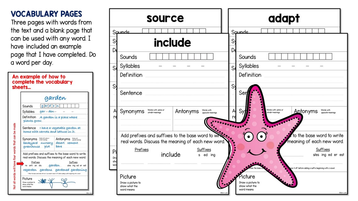 Invertebrates Literacy Activities for A Week, Reading Writing and More ...